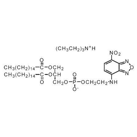 Fluorescent Membrane and Membrane Potential Dyes