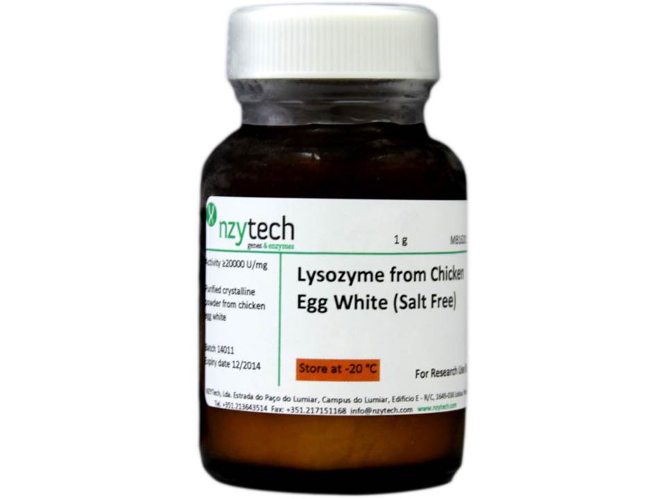 Lysozyme from Chicken Egg White (Salt Free) – Atlas Biyoteknoloji